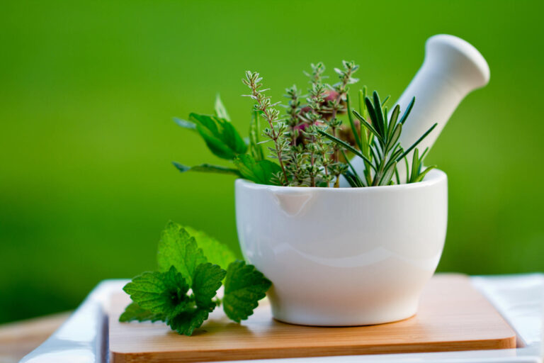 What are The Top 10 Herbal Medicines - SOHMA Integrative Medicine